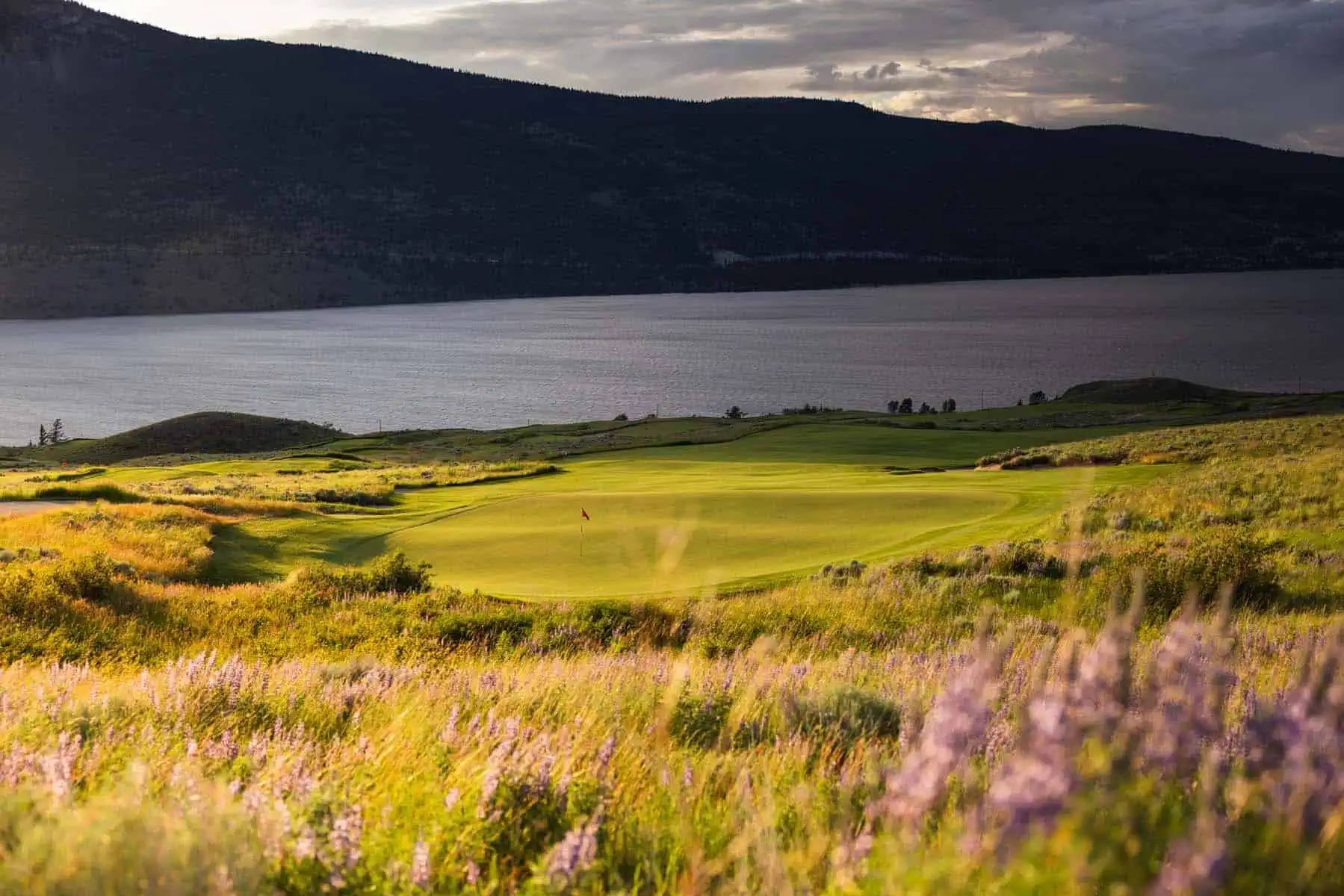 Play Here - Sagebrush Golf Club